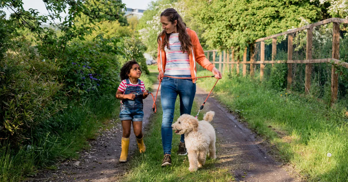 8 Ways To Spring Into Good Health With Primary Care | UChicago Medicine ...